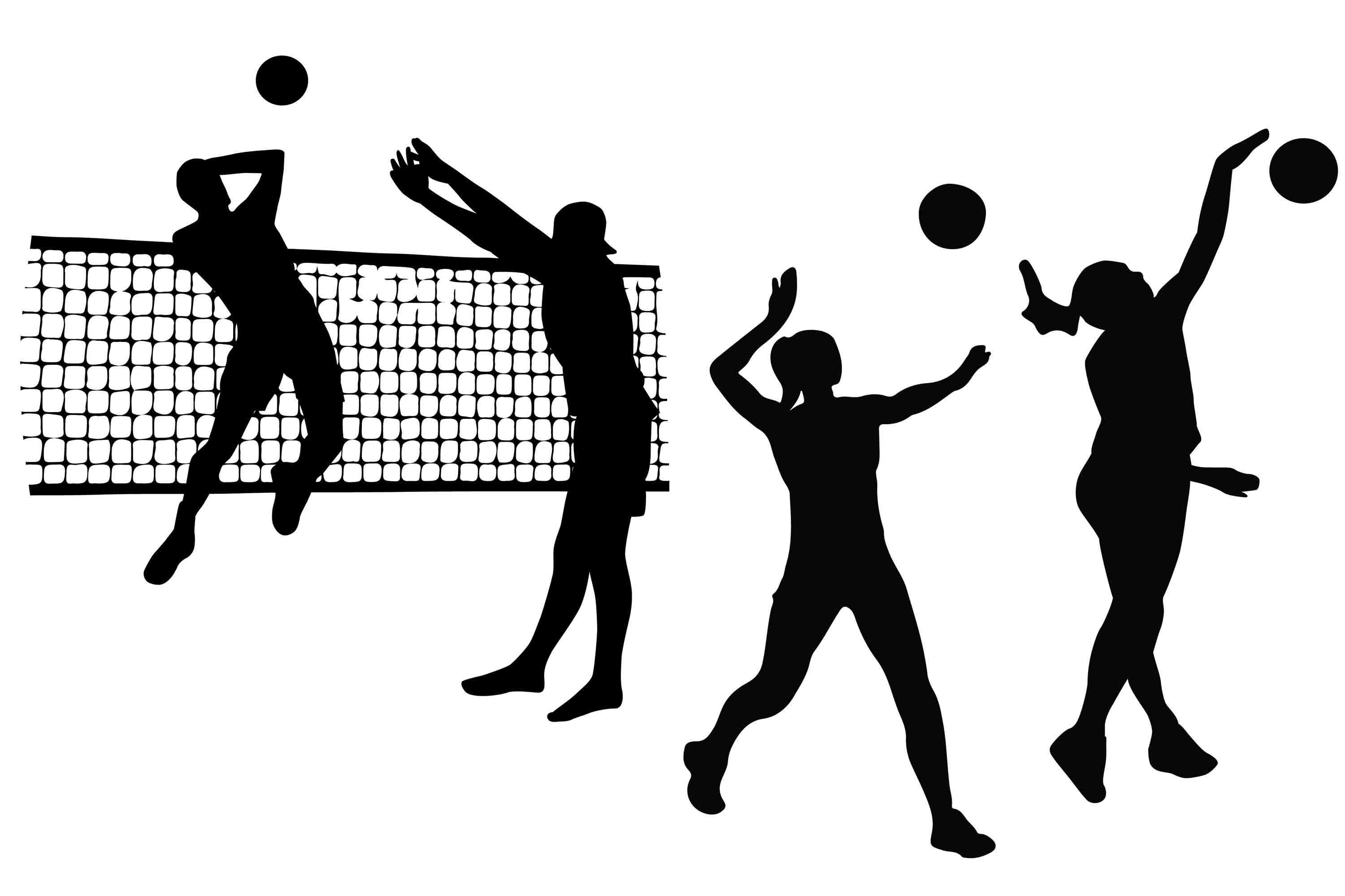Volleyball clipart store