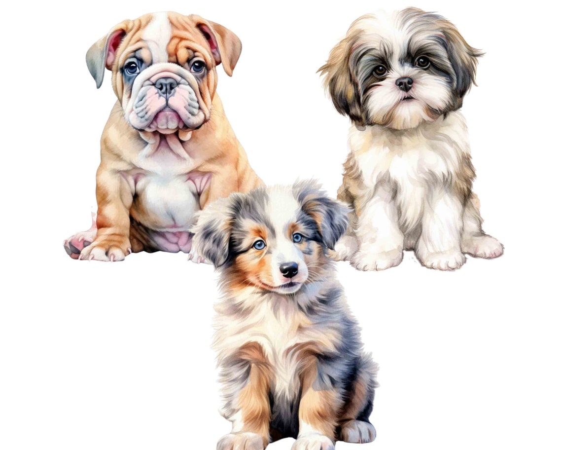 Watercolor Puppies Clipart: 25 PNG Dog Illustrations (digital Download ...