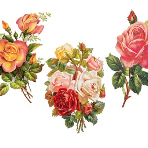 Flower Clipart, Roses Clip Art, Vintage Graphics, Floral Clipart ...