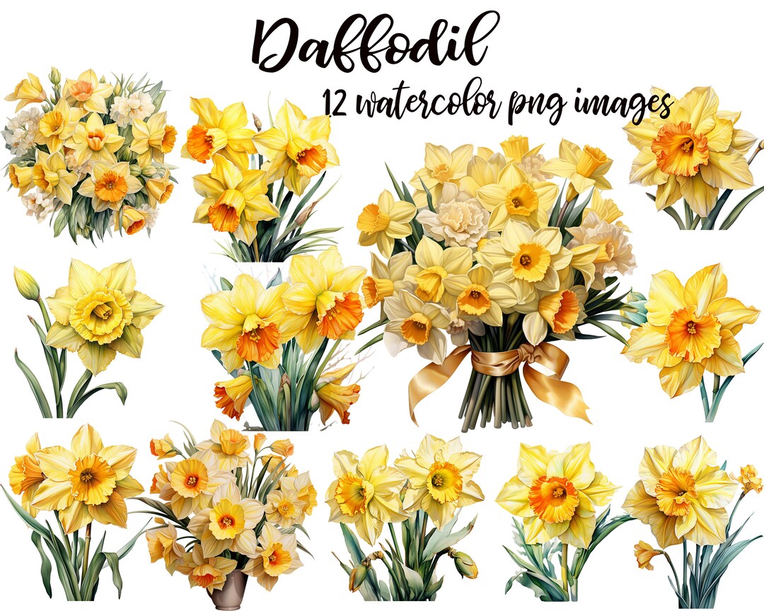 Daffodil Clipart, Daffodil Watercolor, Daffodil Set Clipart, Flower ...