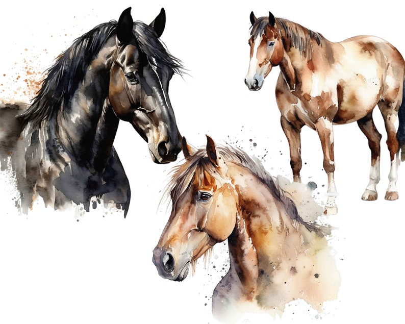 Watercolor Horse Clipart: Farm Animal PNG Images (digital Download ...