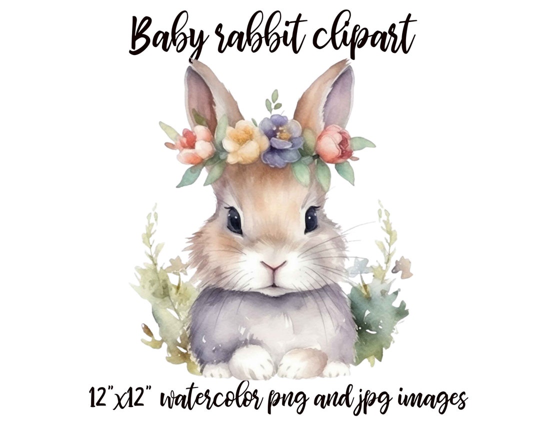 Baby Rabbit Clipart, Baby Rabbit Watercolor, Wild Animal Clipart, Baby ...