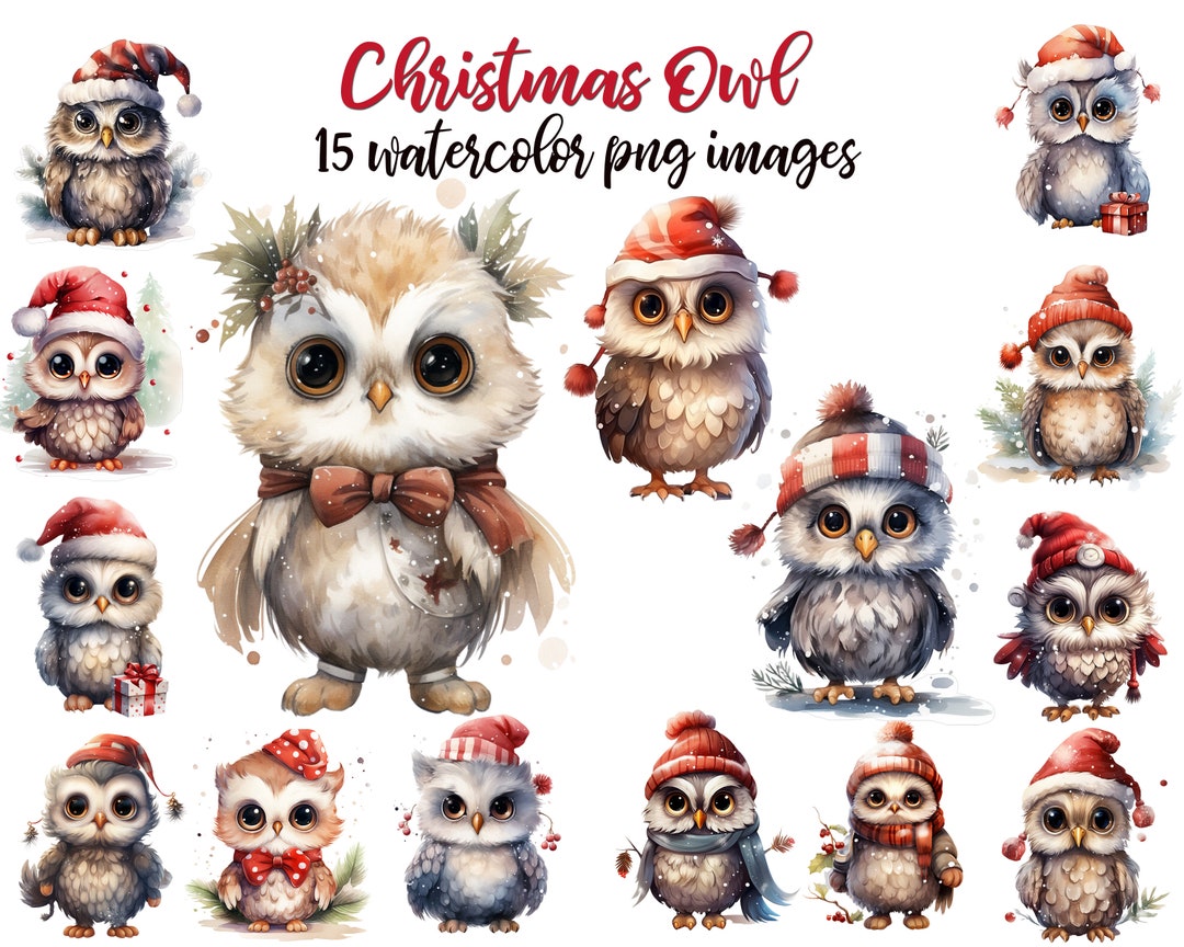 Christmas Clip Art, Christmas Owl, Christmas Owl PNG, Xmas Owl ...