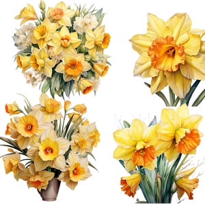 Daffodil Clipart, Daffodil Watercolor, Daffodil Set Clipart, Flower ...