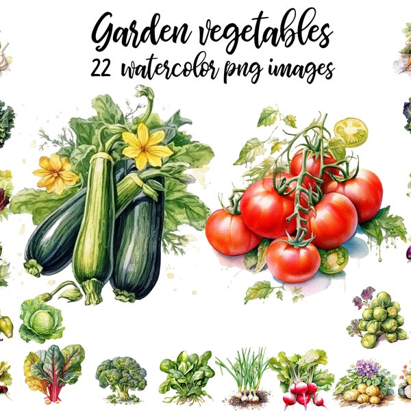 Vegetable Poster - Etsy