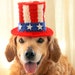 4th of July Dog Hat, Independence Day Hat for Dogs, Uncle Sam Hat for ...