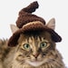 Wizard Cat Hat, Brown or Gray Wizard Hat for Cats With Ear Holes ...