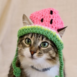 Watermelon Hat for Cats, Crochet Watermelon Hat for Cats and Small Dog ...
