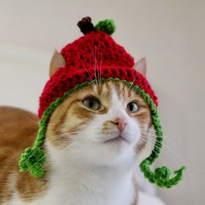 Apple Hat for Cats, Crochet Apple Hat for Cats, Kittens, and Small Dog ...