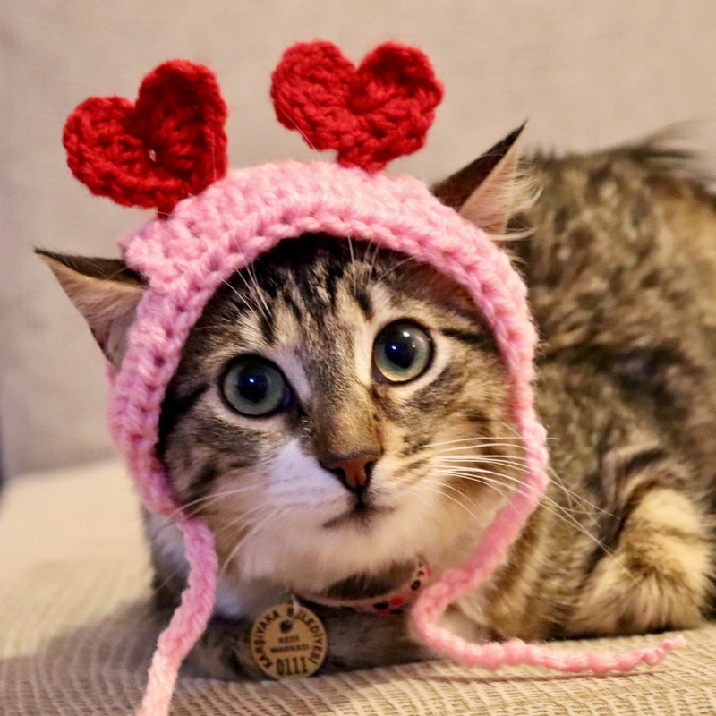 Cat Accessories - Etsy