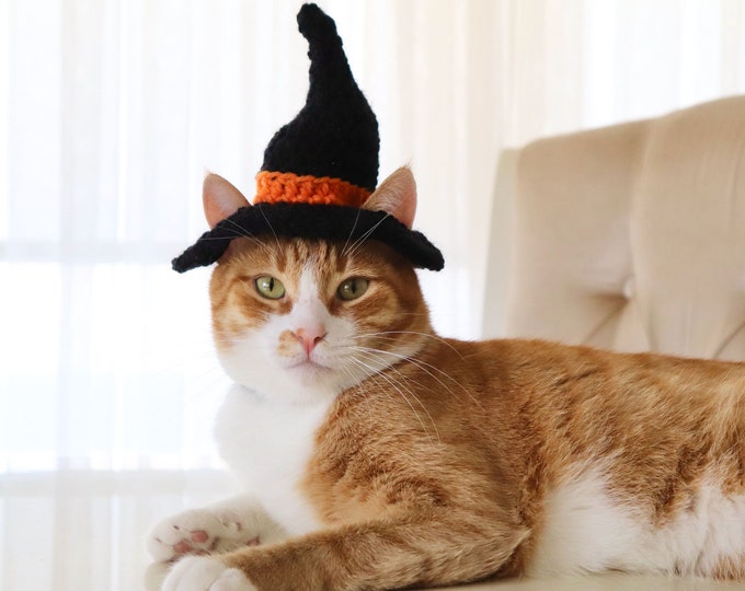 Witch Cat Hat Witch Hat for Cats Halloween Cat Costume | Etsy
