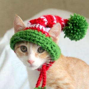 Elf Hat for Cats, Cat Elf Hat, Holiday Cat Hat, Christmas Hat for Cats ...