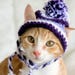Hat for Cats, Toboggan Cat Hat, Beanie for Cats & Kittens, Cat Stocking ...