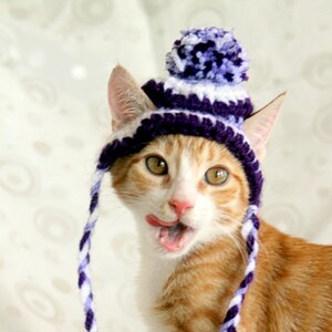 Hat for Cats, Toboggan Cat Hat, Beanie for Cats & Kittens, Cat Stocking ...