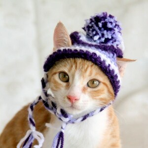 Hat for Cats, Toboggan Cat Hat, Beanie for Cats & Kittens, Cat Stocking ...