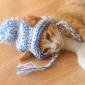 Hat for Cats, Toboggan Cat Hat, Beanie for Cats & Kittens, Cat Stocking ...