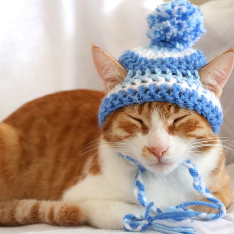 PawsomeCrochet - Etsy