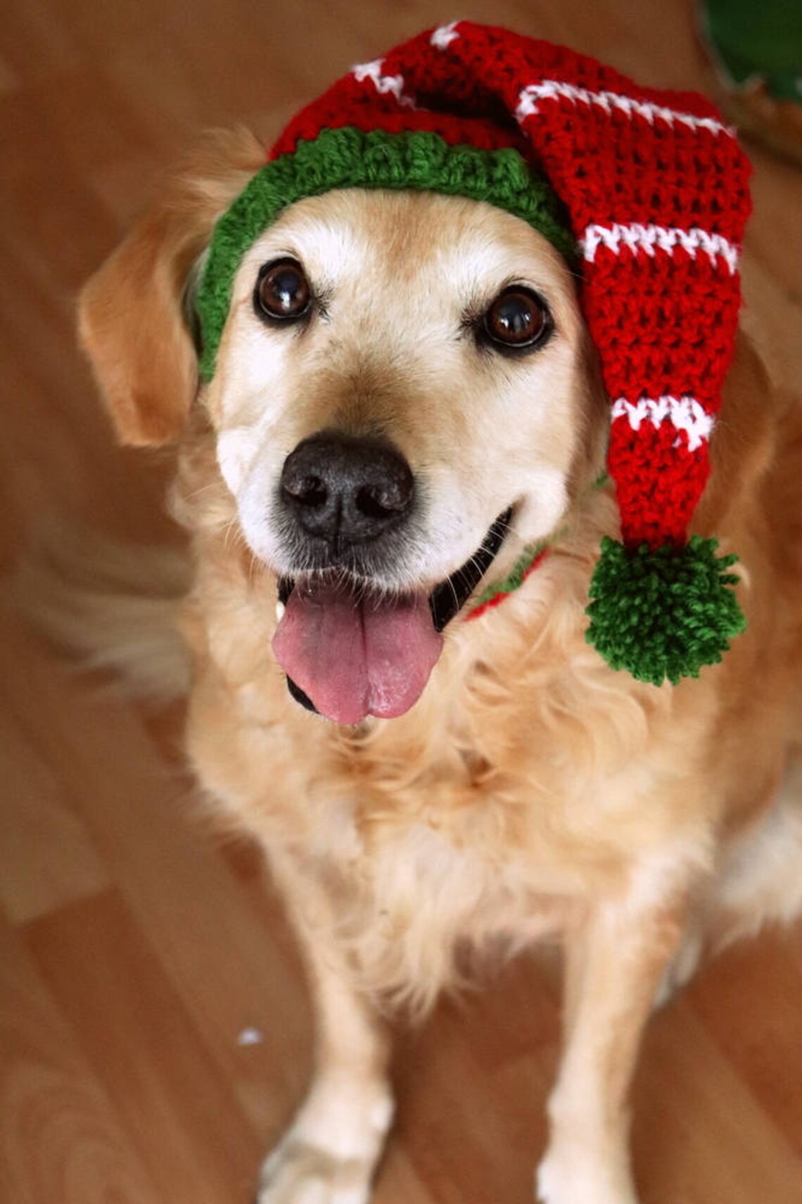 Elf Hat for Dogs Dog Elf Hat Holiday Dog Hat Christmas Hat | Etsy