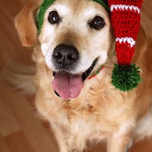 Elf Hat for Dogs, Dog Elf Hat, Holiday Dog Hat, Christmas Hat for Dogs ...