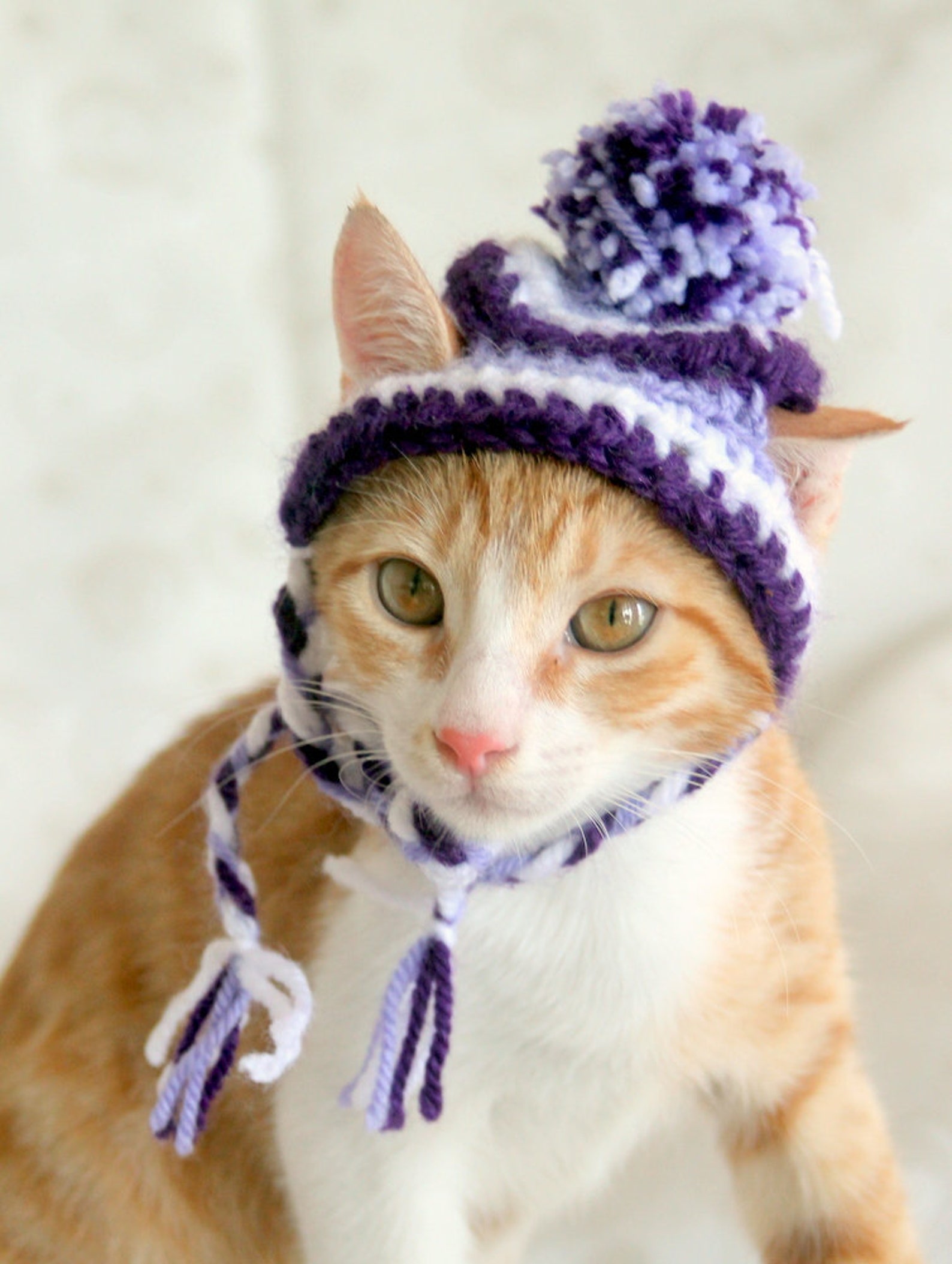 Crochet Pattern: Striped Beanie Hat for Cats | Etsy