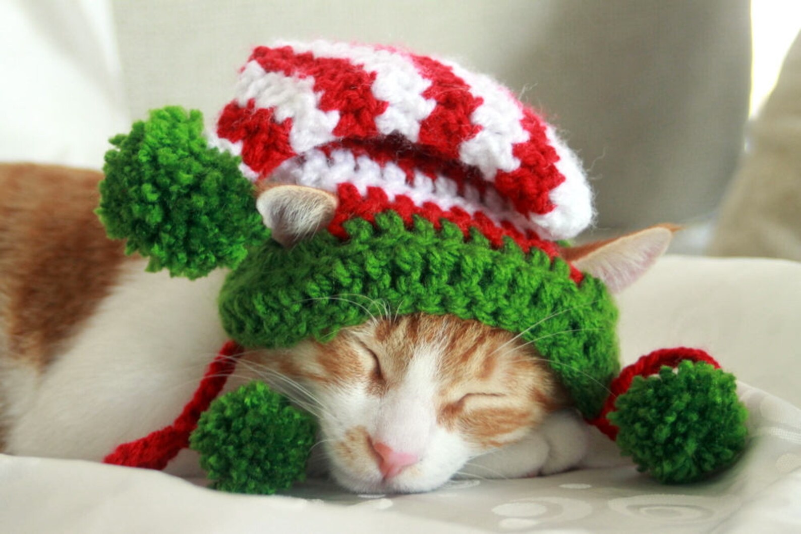 Crochet Pattern: Elf Hat for Cats Cat Elf Hat Pattern - Etsy Canada
