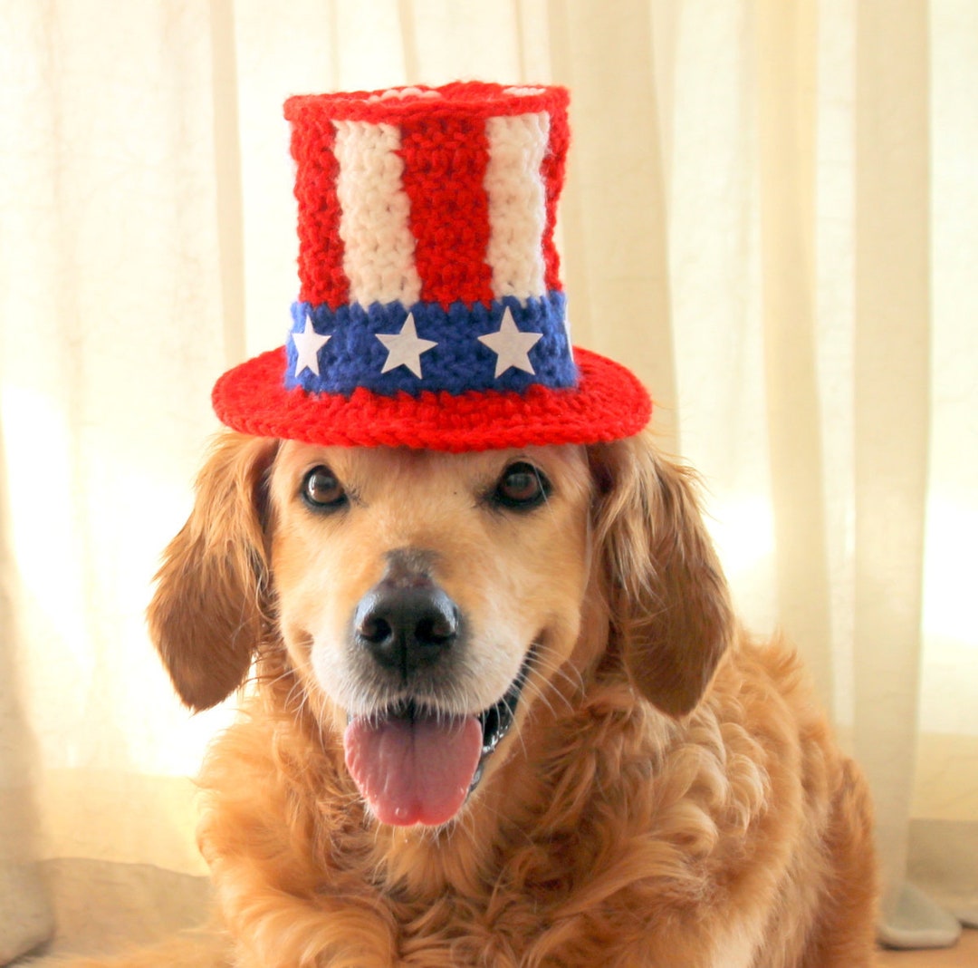 4th of July Dog Hat, Independence Day Hat for Dogs, Uncle Sam Hat for ...
