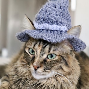 Wizard Cat Hat, Brown or Gray Wizard Hat for Cats With Ear Holes ...