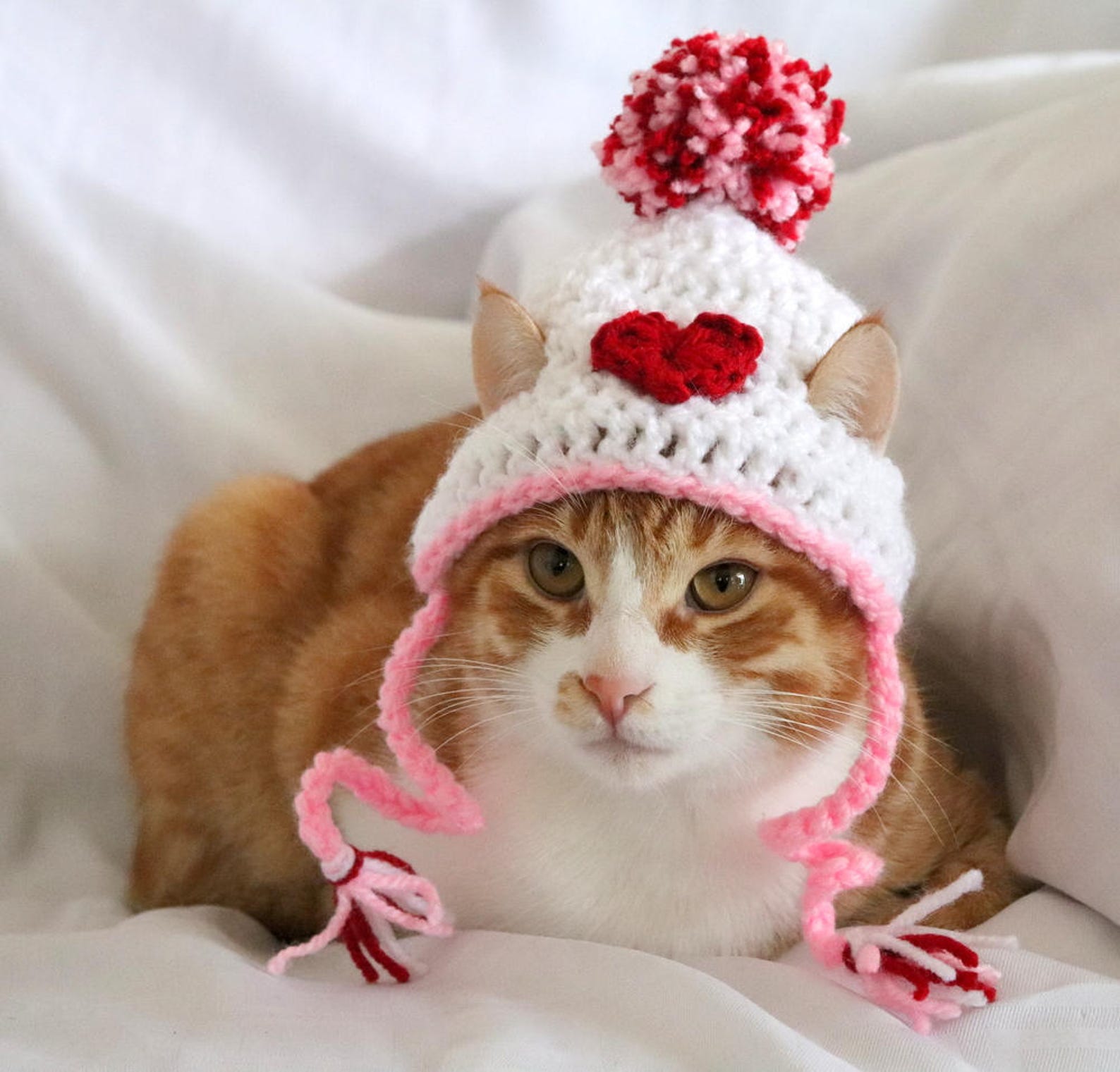 Valentines Day Hat for Cats Heart Cat Hat Valentines Day Cat - Etsy UK