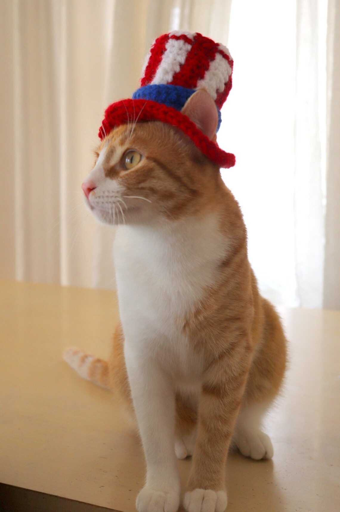 Uncle Sam Hat for Cats 4th of July Cat Accessory | Etsy