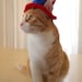 Uncle Sam Hat for Cats 4th of July Cat Accessory - Etsy