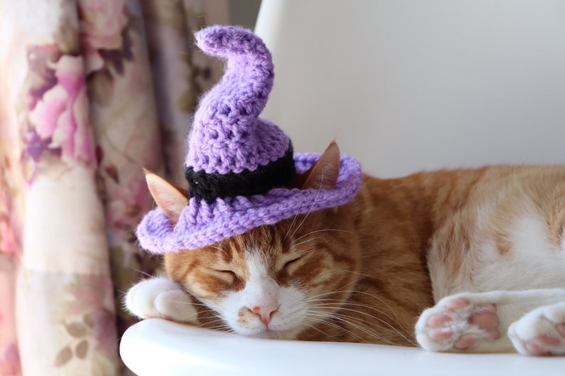 Witch Cat Hat, Witch Hat for Cats, Halloween Cat Costume, Halloween Hat ...