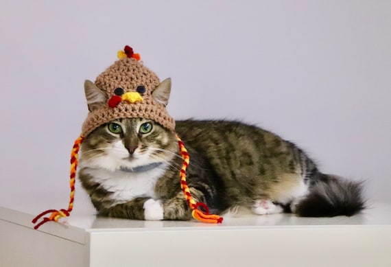 Cat Dressed As Turkey
