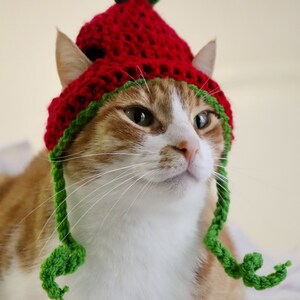 Crochet Apple Hat Pattern for Cats - Extra Small Dogs, Apple Cat Hat ...