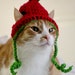 Crochet Apple Hat Pattern for Cats - Extra Small Dogs, Apple Cat Hat ...