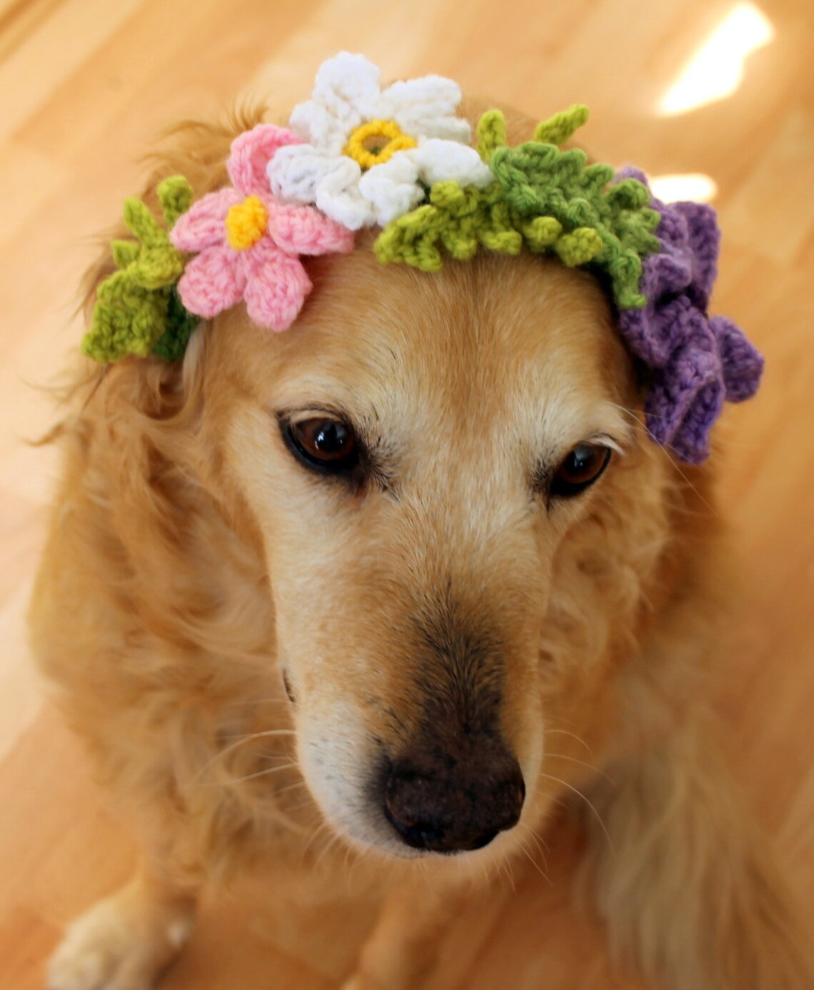 Flower Crown / Collar for Dogs Pet Wedding Dog Flower Girl - Etsy