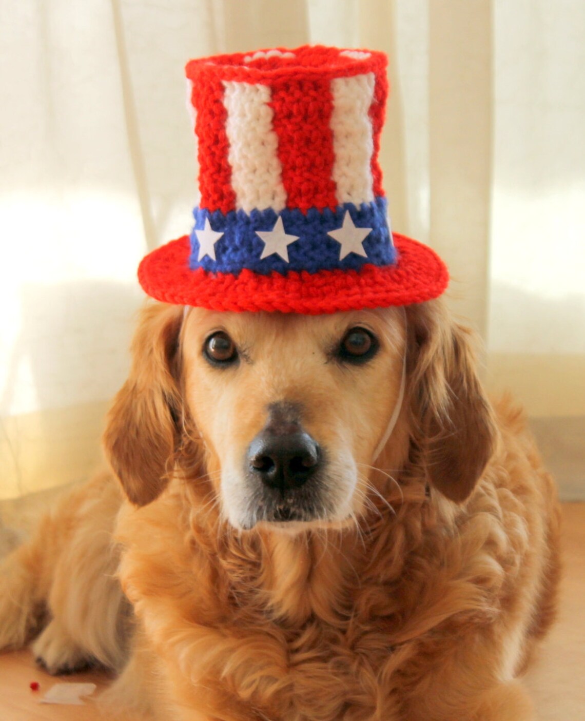 4th of July Dog Hat Independence Day Hat for Dogs Uncle Sam - Etsy