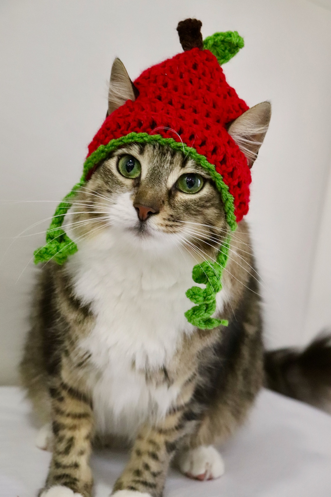 Apple Hat for Cats Crochet Apple Hat for Cats and Toy Dog - Etsy