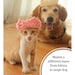 Crochet Pet Crown Pattern - PDF Crochet Pattern - Makes Crown / Tiara ...