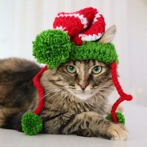 Elf Hat for Cats, Cat Elf Hat, Holiday Cat Hat, Christmas Hat for Cats ...