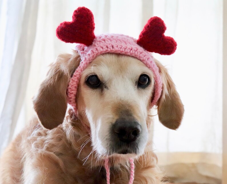 Valentines Day Hearts for Dogs Heart Headband / Hat for Large | Etsy