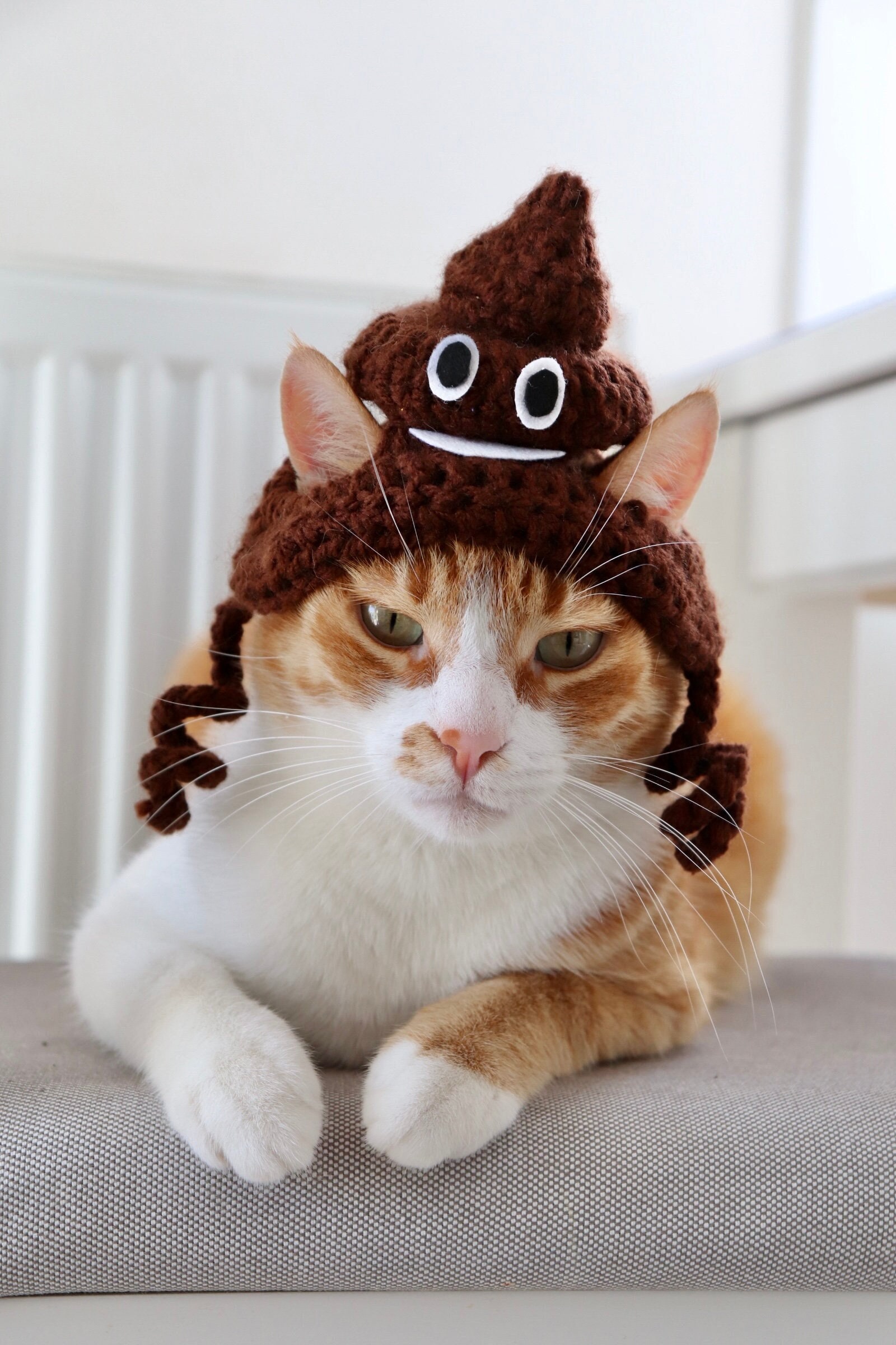 Poop Hat