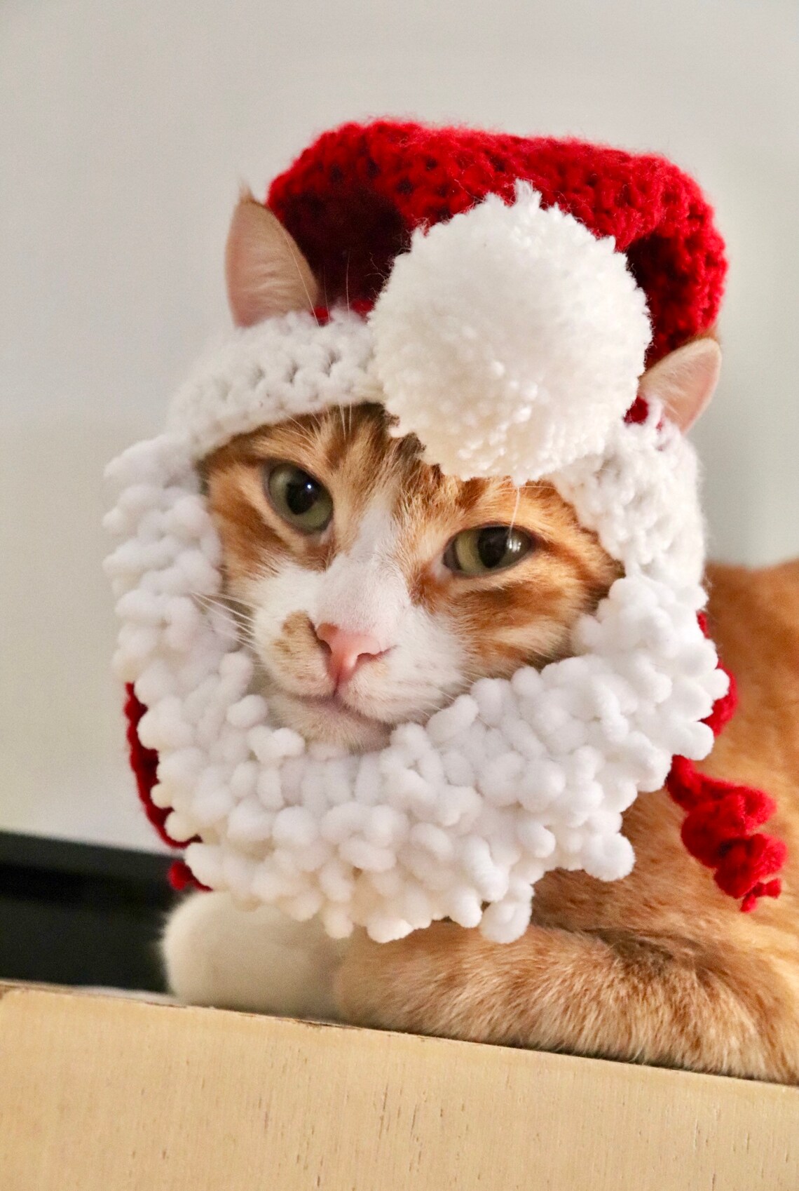 Bearded Santa Hat for Cats Holiday Cat Santa Hat With Soft | Etsy