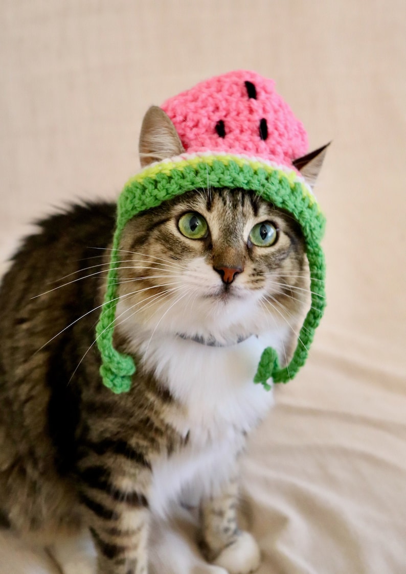 Watermelon Hat for Cats, Crochet Watermelon Hat for Cats and Small Dog ...