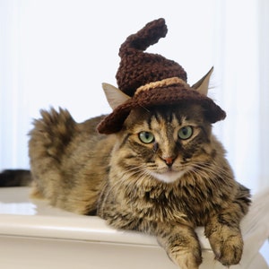 Wizard Cat Hat, Brown or Gray Wizard Hat for Cats With Ear Holes ...