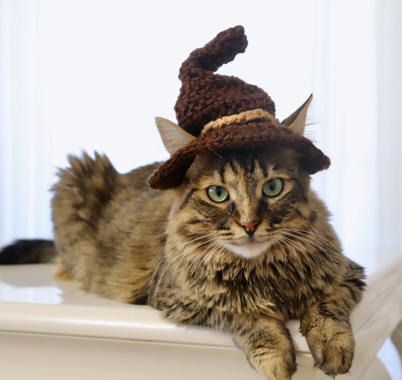 Wizard Cat Hat Brown or Gray Wizard Hat for Cats With Ear - Etsy