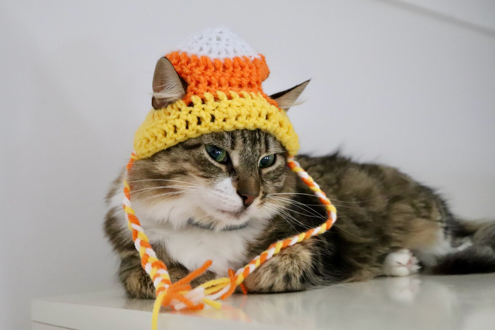 Candy Corn Cat Hat Halloween Hat for Cats Kittens and Small - Etsy