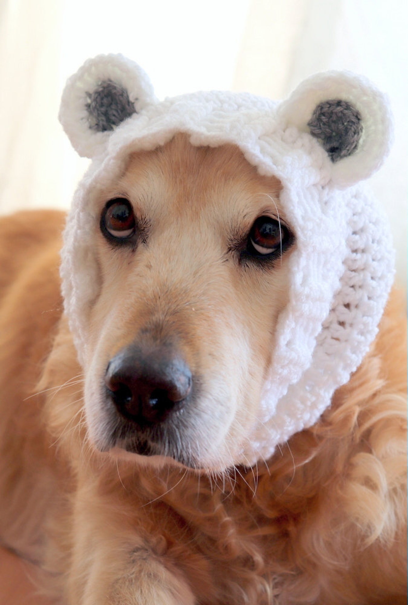 Bear Snood for Dogs Bear Ears for Large Dogs Bear Dog - Etsy