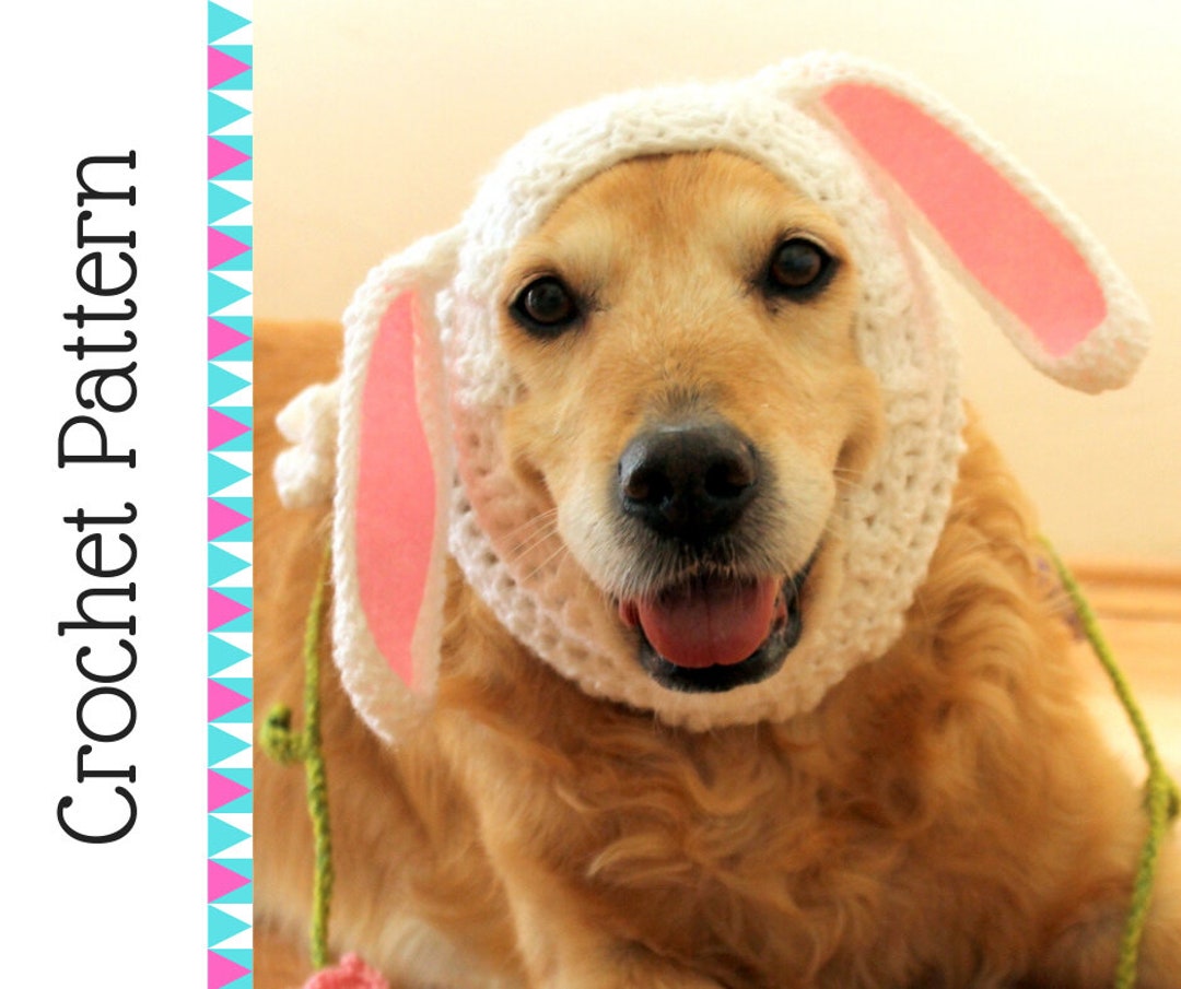 Crochet Pattern: Bunny Dog Snood, PDF Instructions for Crochet Dog ...