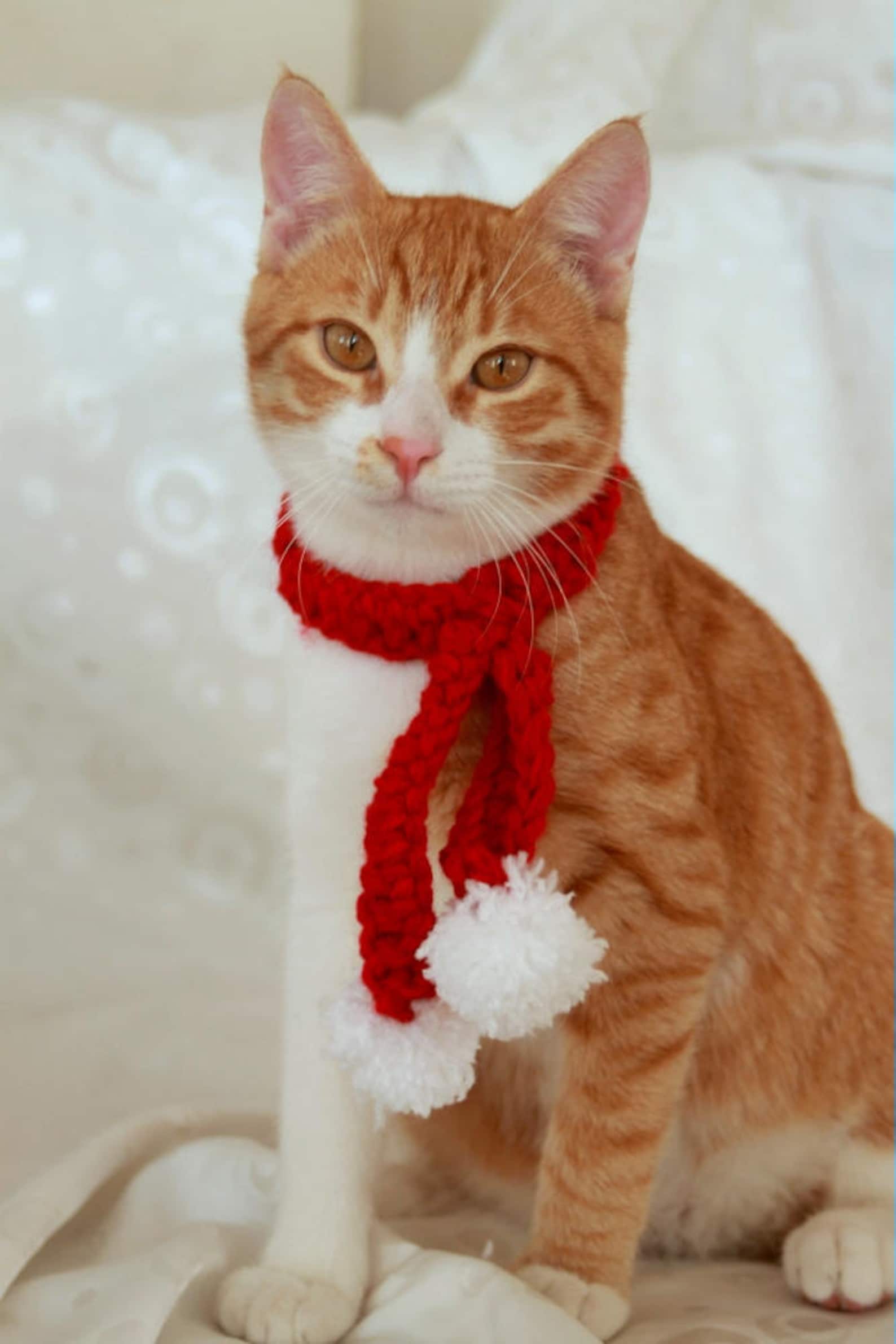Cat Scarf Christmas Scarf for Cats Pom Pom Cat Scarf - Etsy