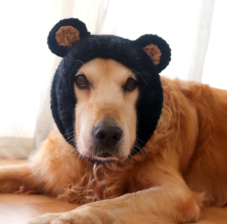 Bear Snood for Dogs Bear Ears for Large Dogs Bear Dog - Etsy